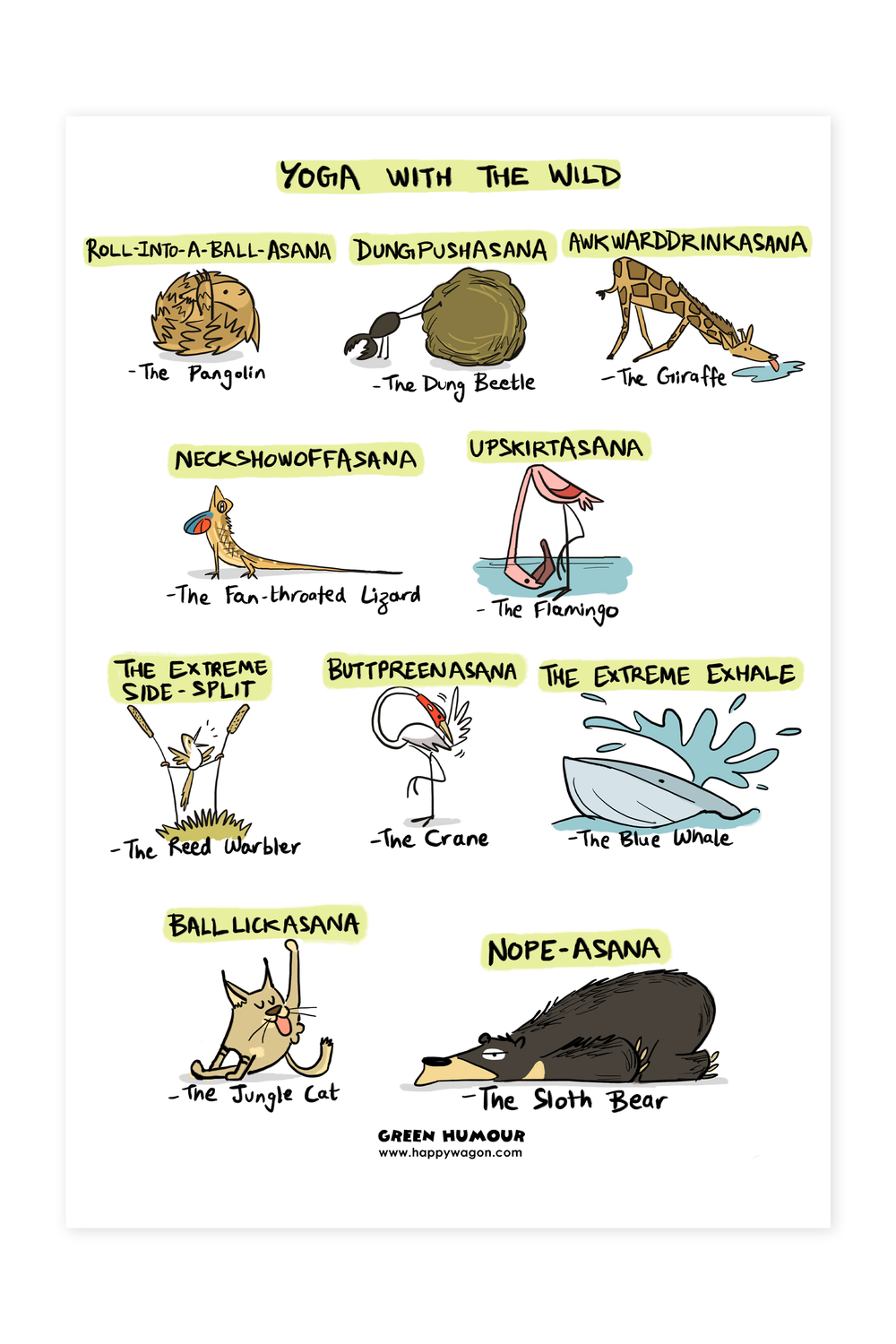 Non Tearable Posters